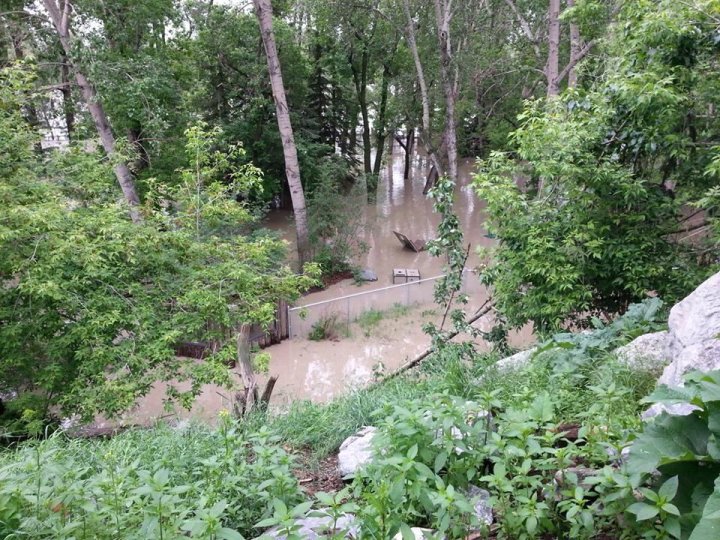 UPDATE: Calgary Zoo to close for at least two weeks | Globalnews.ca