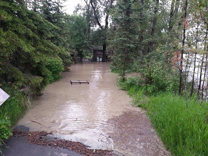 UPDATE: Calgary Zoo to close for at least two weeks | Globalnews.ca