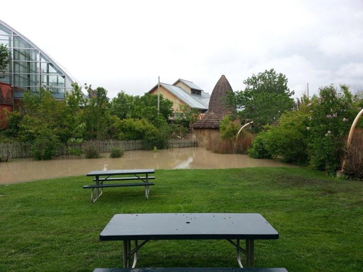 UPDATE: Calgary Zoo to close for at least two weeks | Globalnews.ca