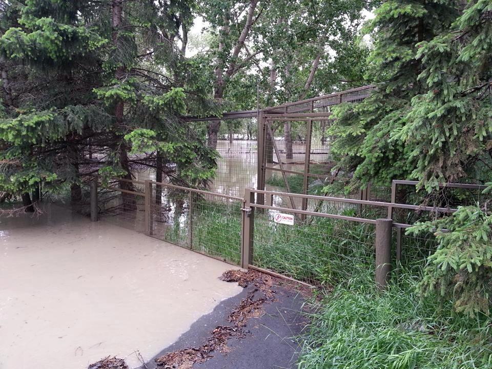 UPDATE: Calgary Zoo to close for at least two weeks | Globalnews.ca