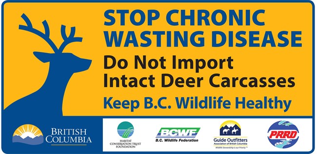 Chronic wasting disease worries experts | Globalnews.ca