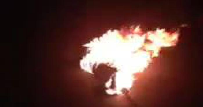 ‘Deer burning’ video from Dawson Creek causes outrage on social media ...