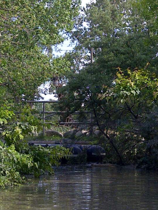 Virtual tour: Flooding aftermath at the Calgary Zoo | Globalnews.ca