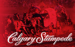 Calgary Stampede releases 2015 Coca-Cola Stage lineup | Globalnews.ca