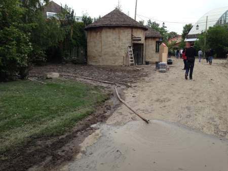 Virtual tour: Flooding aftermath at the Calgary Zoo | Globalnews.ca