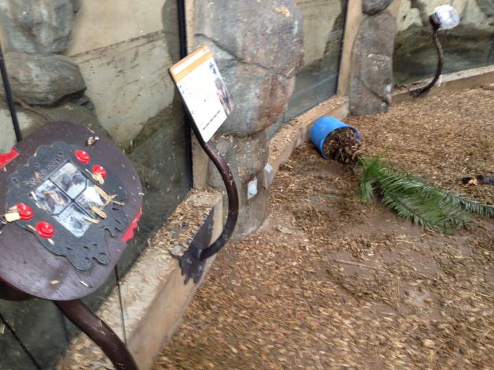 Virtual tour: Flooding aftermath at the Calgary Zoo | Globalnews.ca