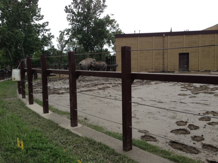 Virtual tour: Flooding aftermath at the Calgary Zoo | Globalnews.ca