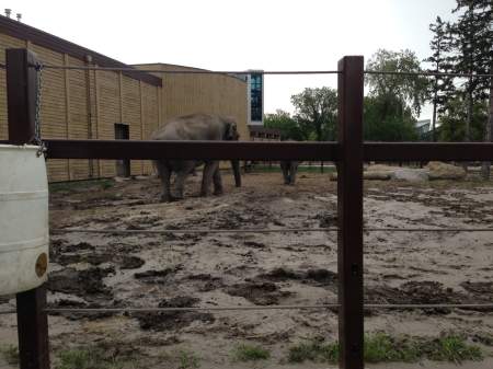 Virtual tour: Flooding aftermath at the Calgary Zoo | Globalnews.ca