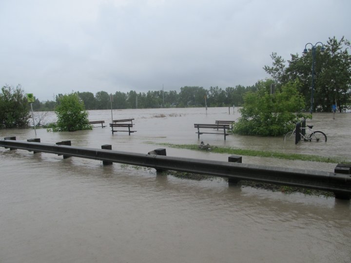 UPDATE: Calgary Zoo to close for at least two weeks | Globalnews.ca