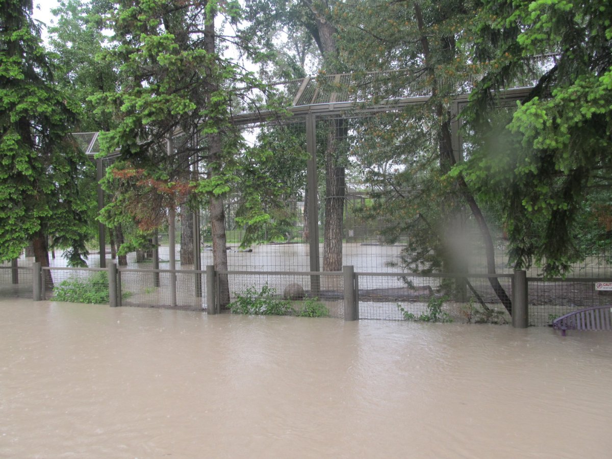 UPDATE: Calgary Zoo to close for at least two weeks | Globalnews.ca