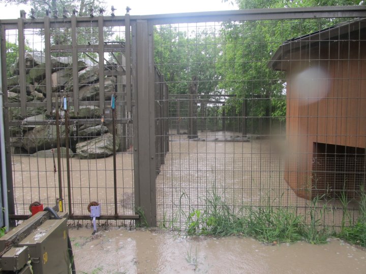 UPDATE: Calgary Zoo to close for at least two weeks | Globalnews.ca