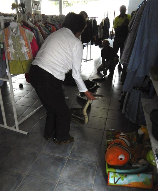 19-foot python breaks into Australian charity - National | Globalnews.ca