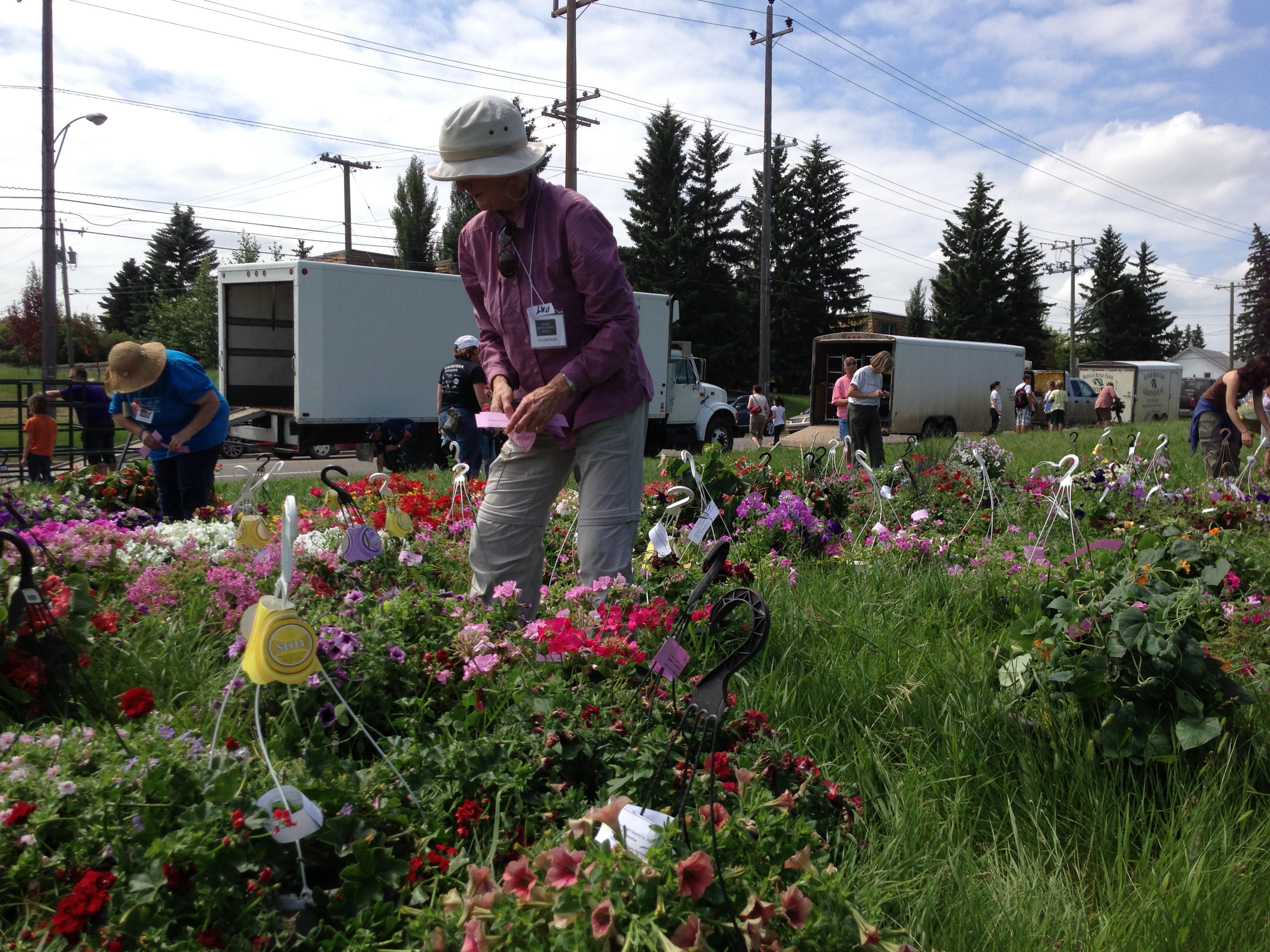 Flower drive brings beauty to flood damaged areas | Globalnews.ca