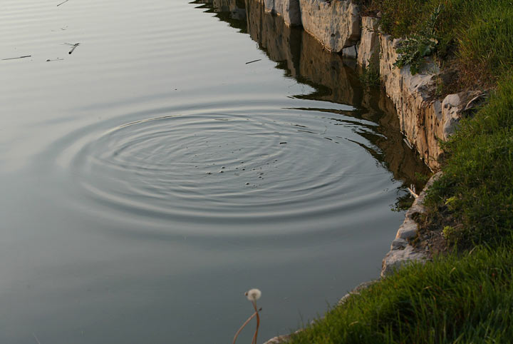 Graphic: The Canadian Open course | Globalnews.ca