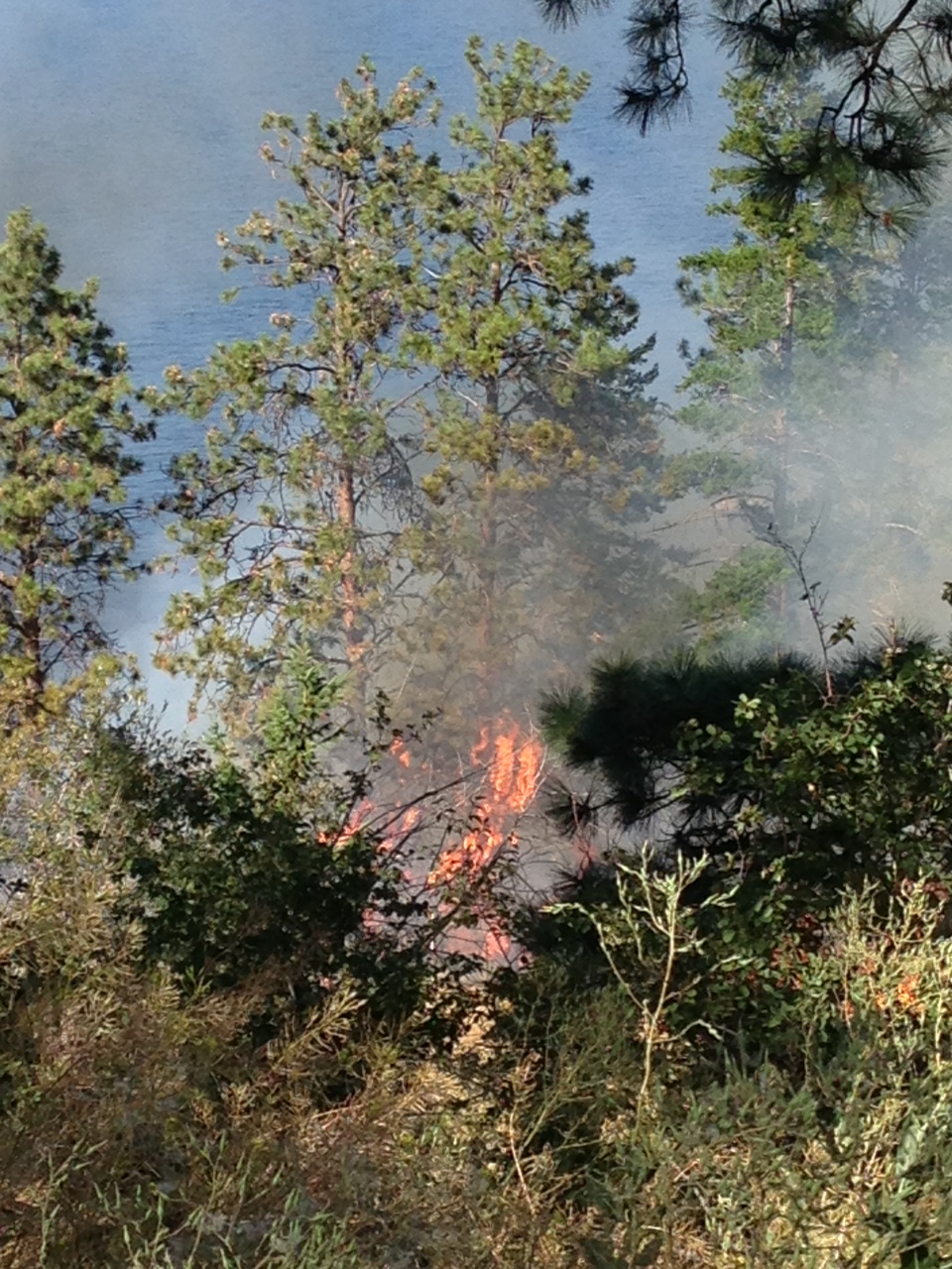 WATCH: Peachland brush fire update | Globalnews.ca