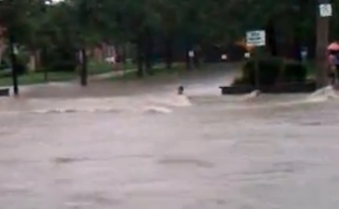 Heavy rainfall causes massive flooding on Mississauga street ...