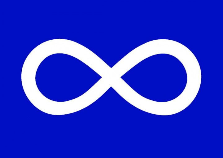 Métis Nation of Saskatchewan calling for election | Globalnews.ca