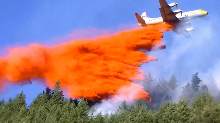 Video: Two forest fires burning 15 km south of Hope | Globalnews.ca