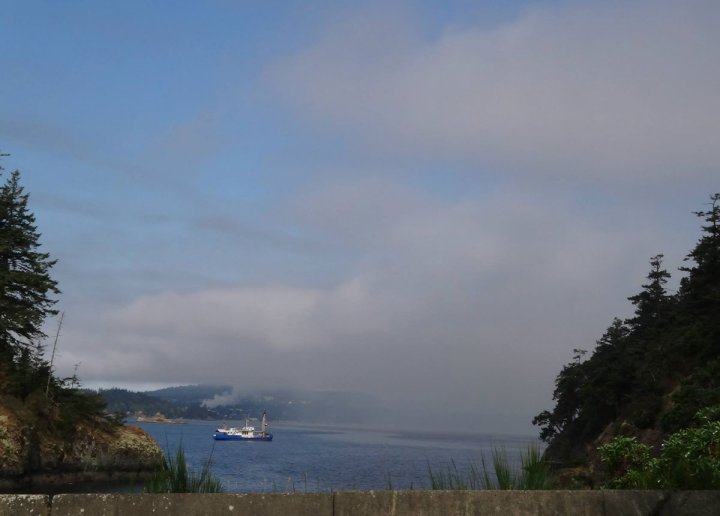 UPDATE: Massive fire at Evergreen Mall in Sooke ‘suspicious’ - BC ...