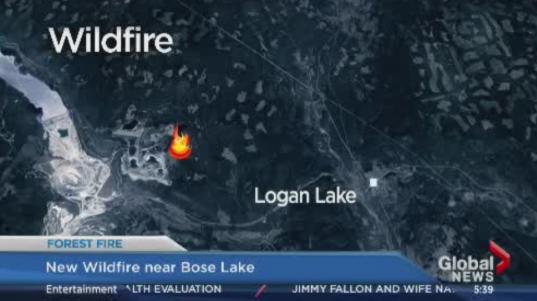 Wildfire burning near Bose Lake now 100 per cent contained | Globalnews.ca