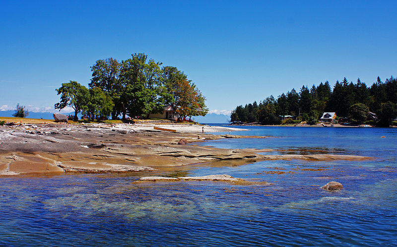 New ferry service between downtown Vancouver and downtown Nanaimo could ...