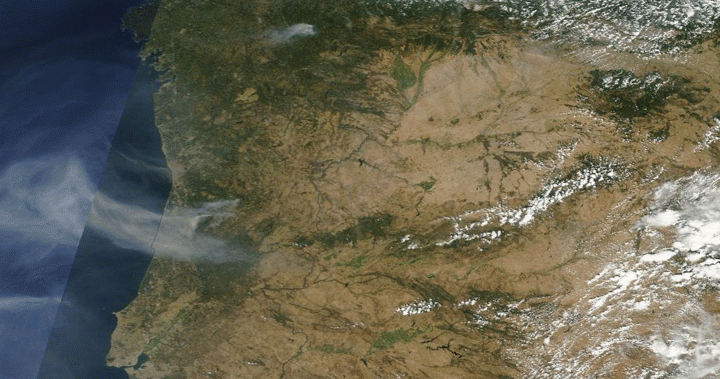 Wildfires spread across Portugal - National | Globalnews.ca