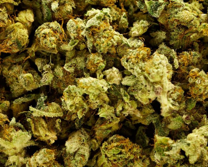 WATCH: Medical marijuana users vow to fight new licensing laws ...