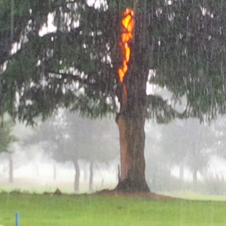 Storm rolls through Metro Vancouver with heavy rain and hundreds of ...