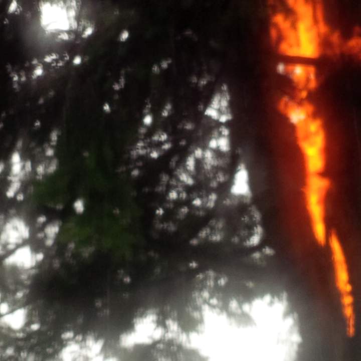 Storm rolls through Metro Vancouver with heavy rain and hundreds of ...