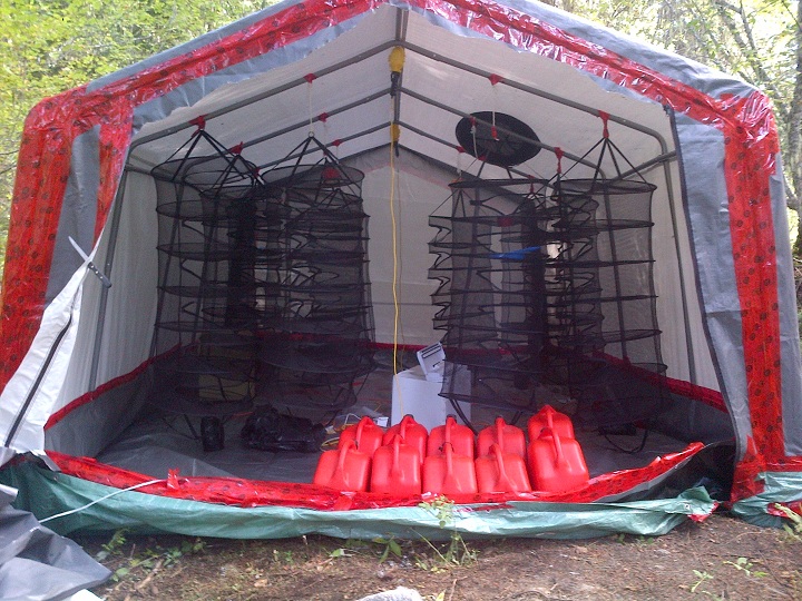 RCMP seize and remove nearly 12,000 marijuana plants in Whistler ...