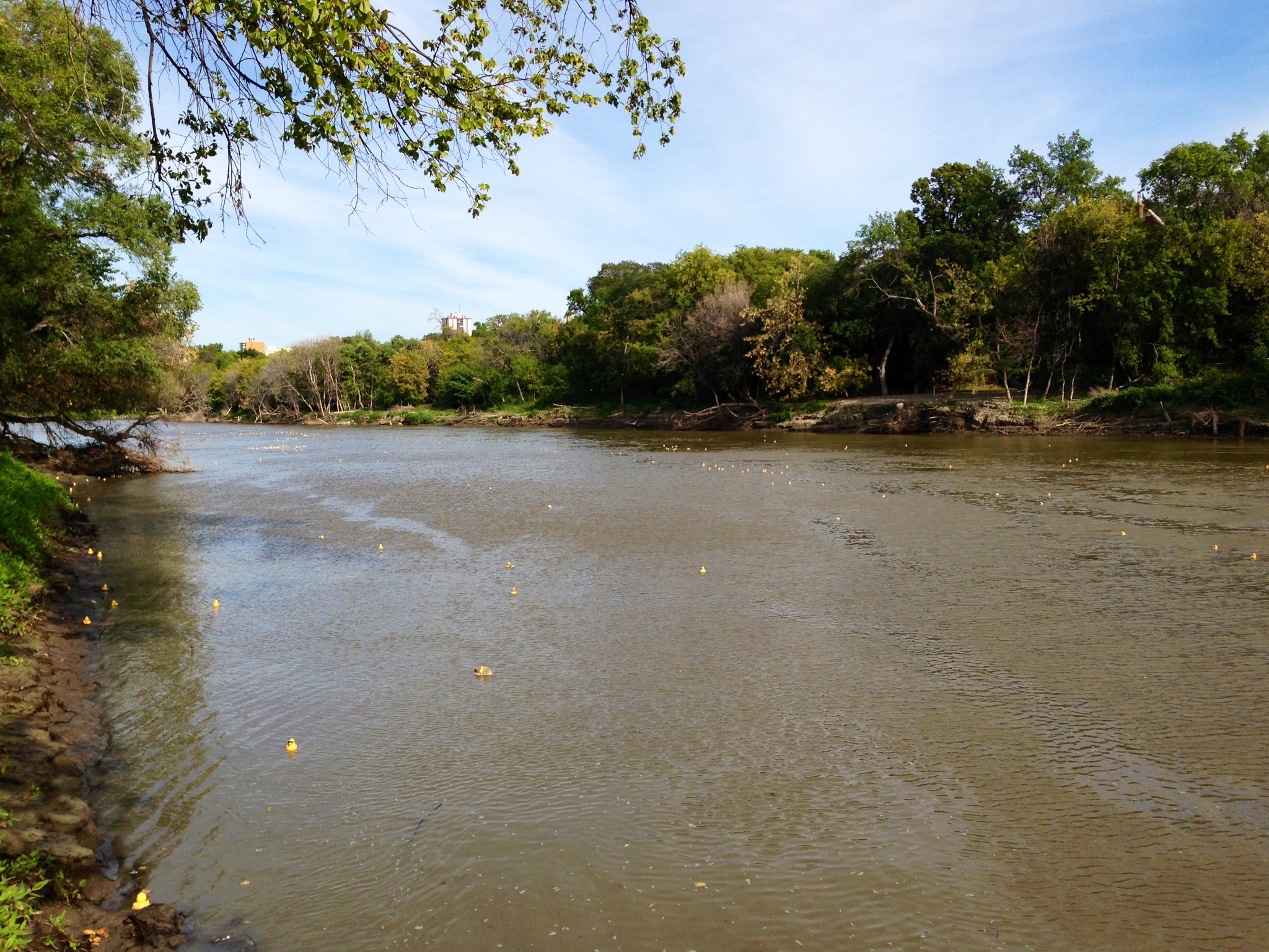 Crews still on the rubber duck hunt - Winnipeg | Globalnews.ca