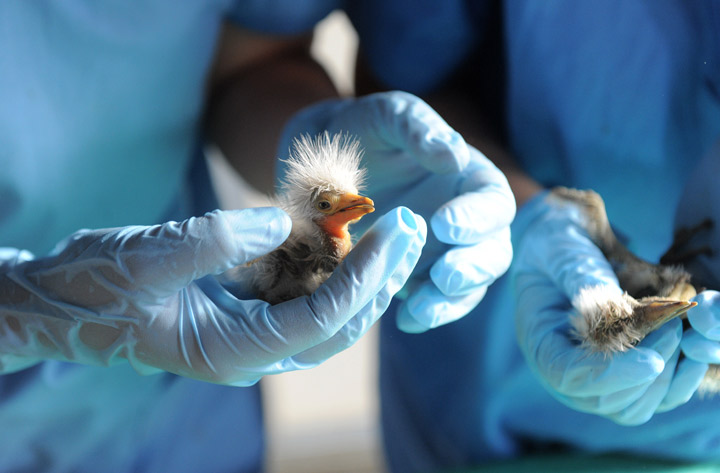 Gallery: 8 moving photos of the week - National | Globalnews.ca