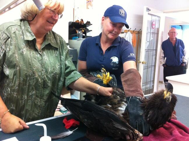 Orphaned Wildlife Rehabilitation Society looking for a new home - BC ...