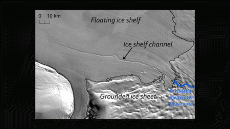 Giant channels found beneath Antarctic ice shelf - National | Globalnews.ca