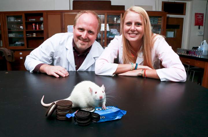 How do lab rats eat Oreos? U.S. study suggests the cookies are as ...