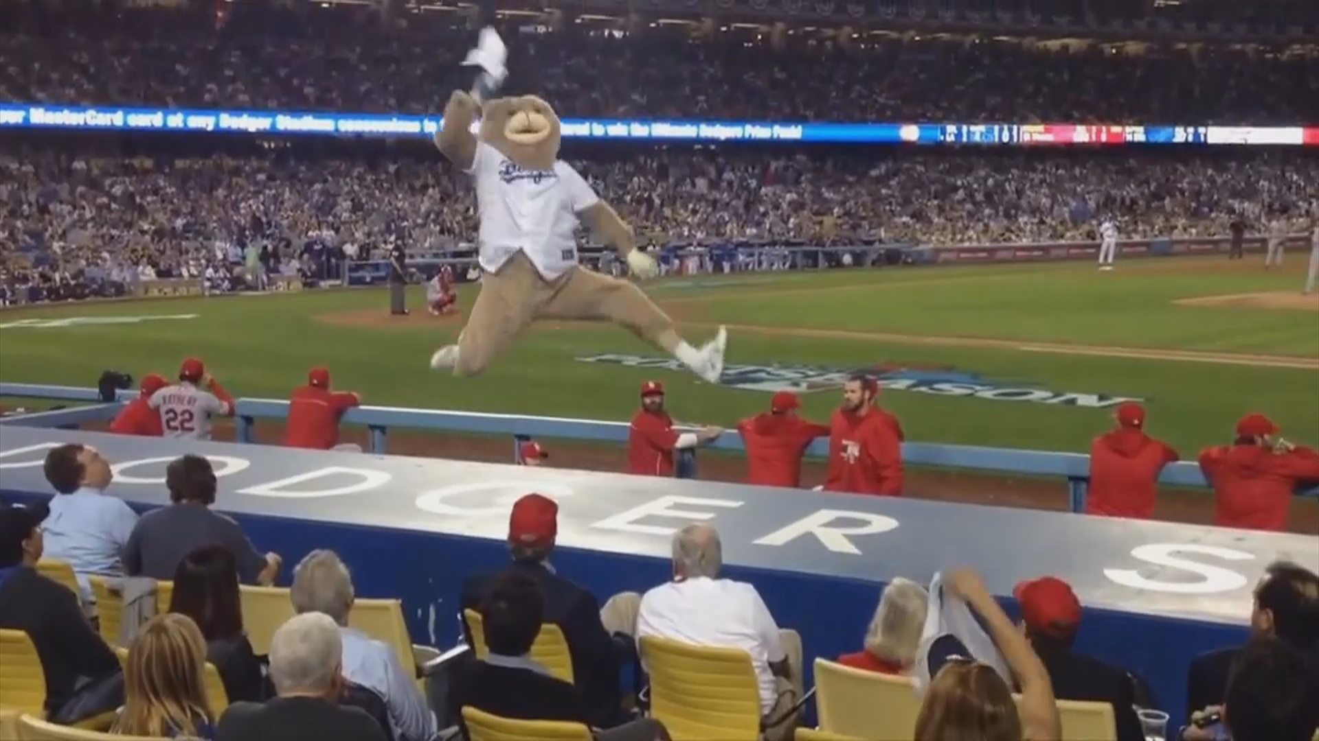 Dodgers fan dressed as bear dancing on dugout goes viral - National ...