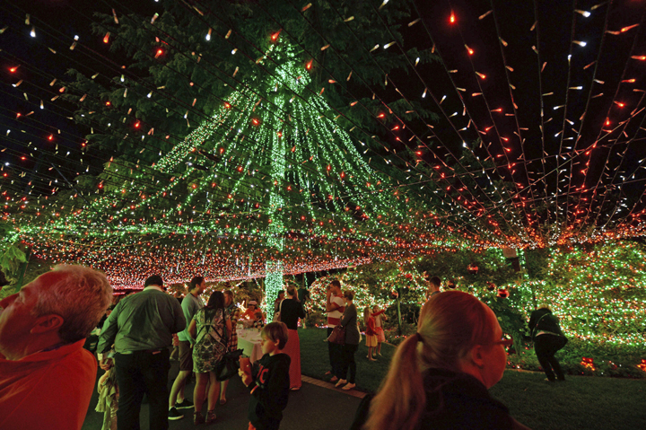 Australian family reclaims Guinness world record with more than 500,000 ...