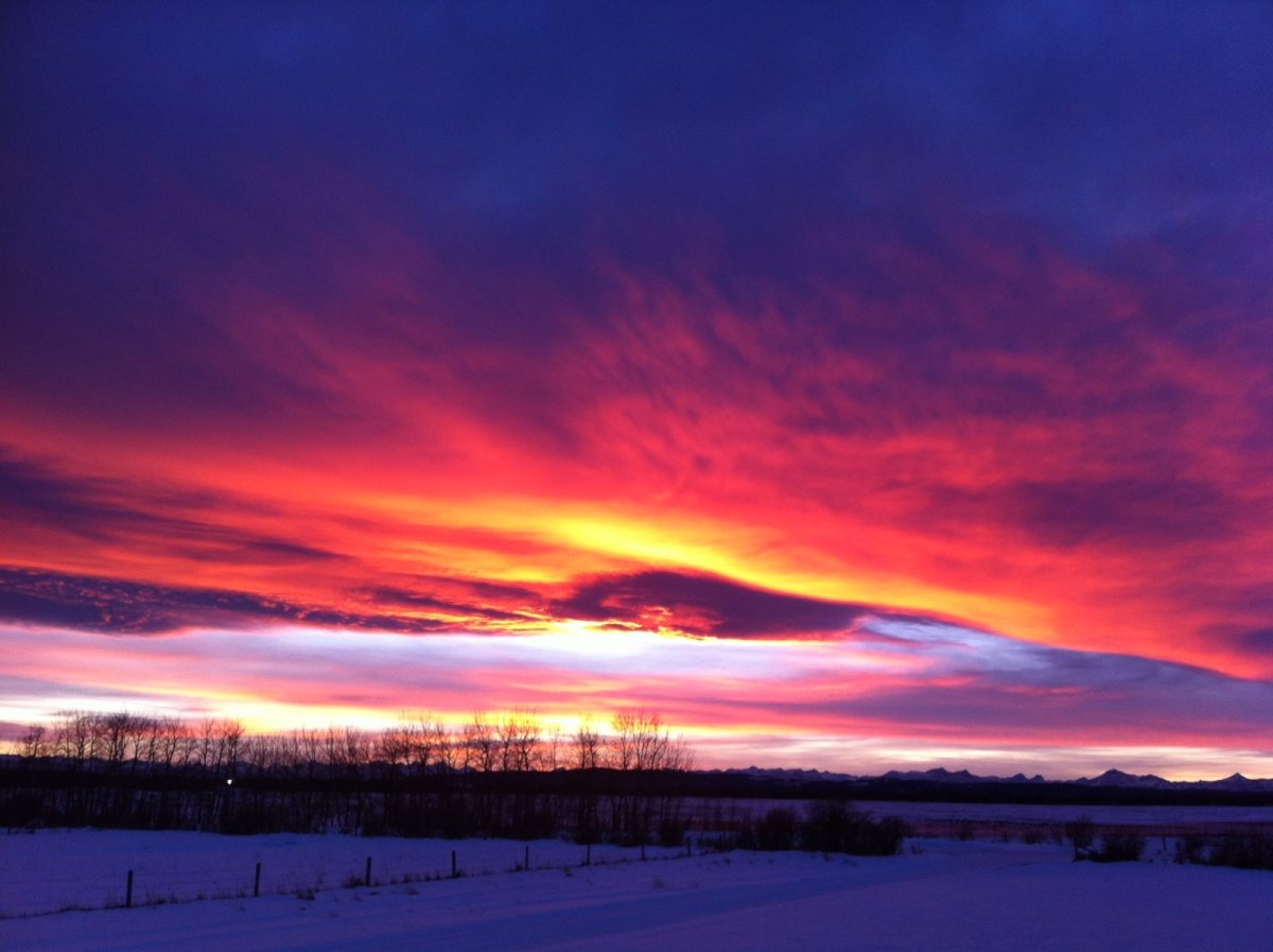 GALLERY: Viewer’s favourite photos of 2013 - Calgary | Globalnews.ca