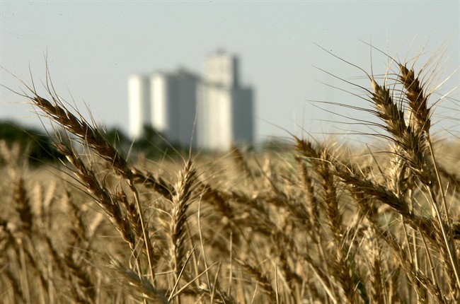 Saskatchewan Wheat Development Commission | News, Videos & Articles