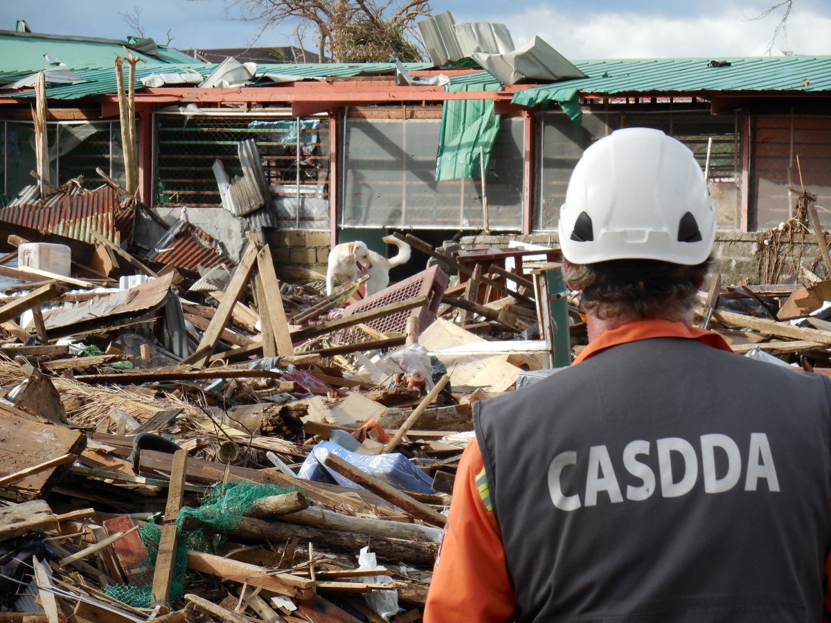 Canada’s search and rescue dogs return from typhoon-ravaged Philippines ...