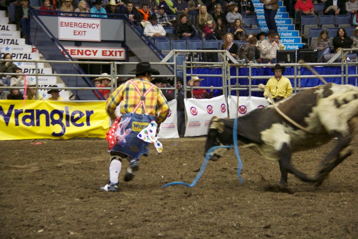 Going to the Rodeo | Globalnews.ca