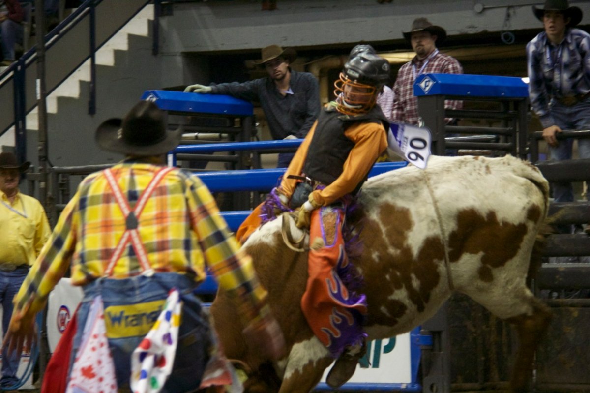 Going to the Rodeo | Globalnews.ca