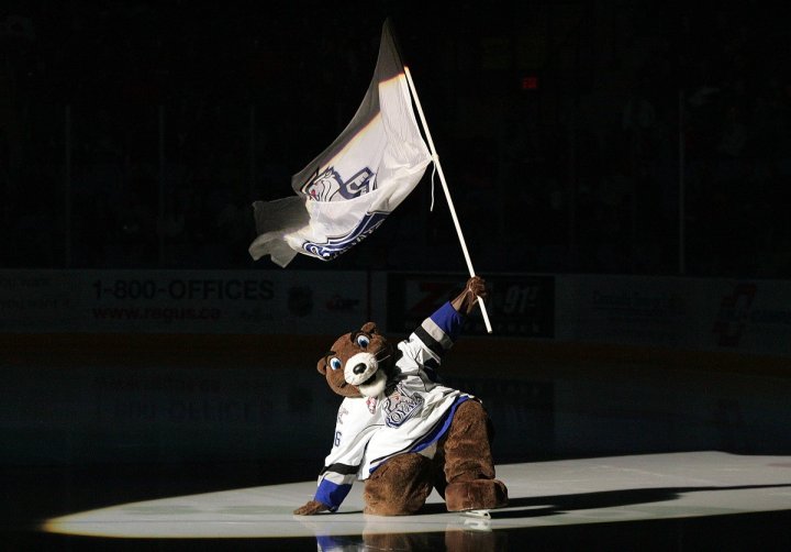 Victoria Royals beloved mascot Marty the Marmot attacked at hockey game ...