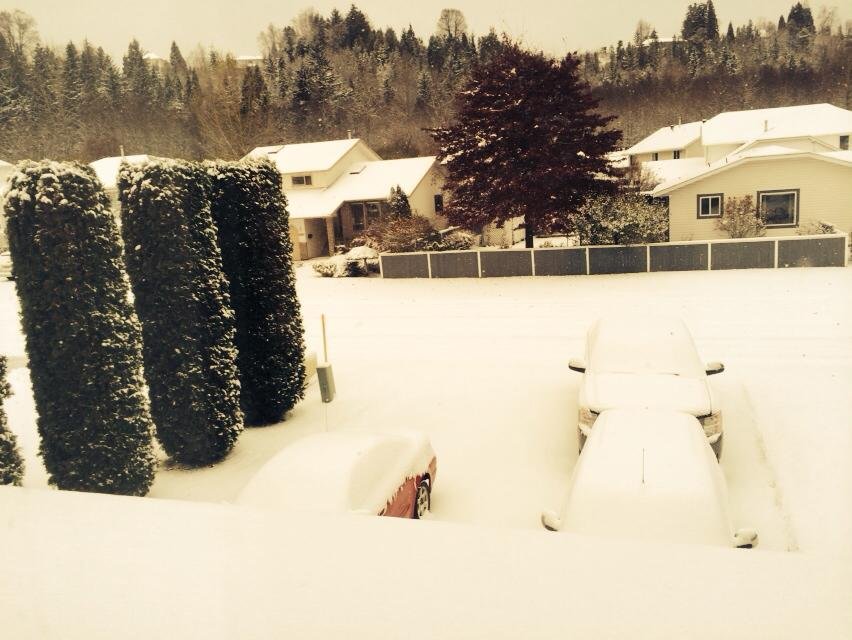 Gallery: Snow hits B.C. | Globalnews.ca