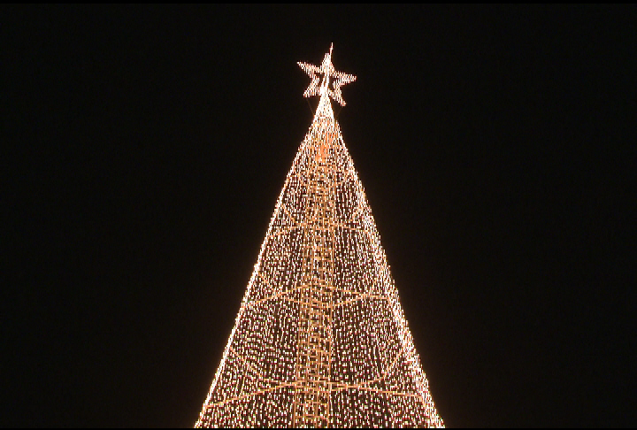 Tree of Hope lit - Okanagan | Globalnews.ca