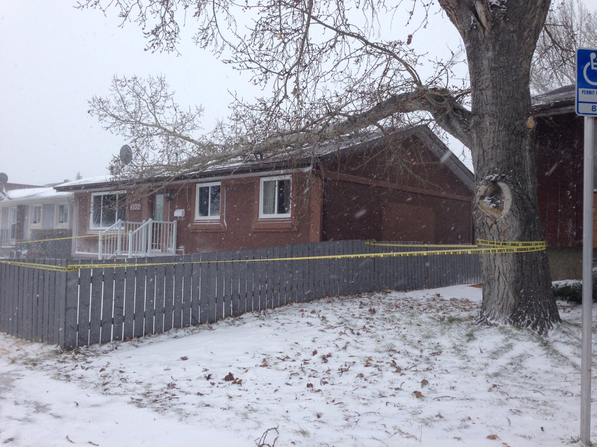 Blast of winter hits Calgary - Calgary | Globalnews.ca