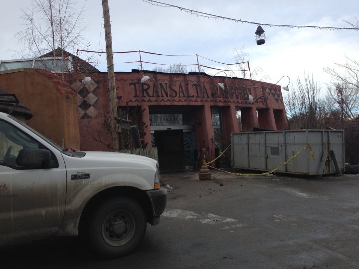Calgary Zoo reopens after devastating flooding - Calgary | Globalnews.ca