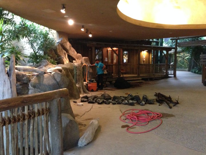Calgary Zoo reopens after devastating flooding - Calgary | Globalnews.ca
