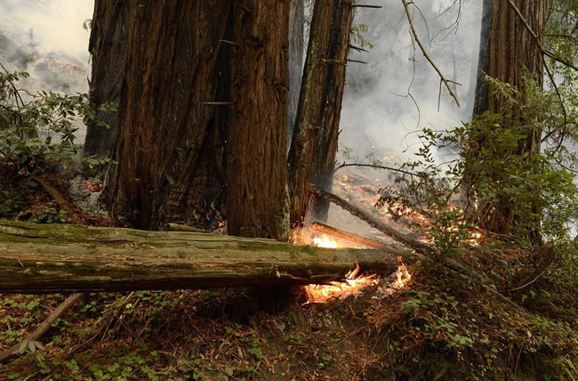 Big Sur fire destroys 15 homes, forces 100 to flee - National ...