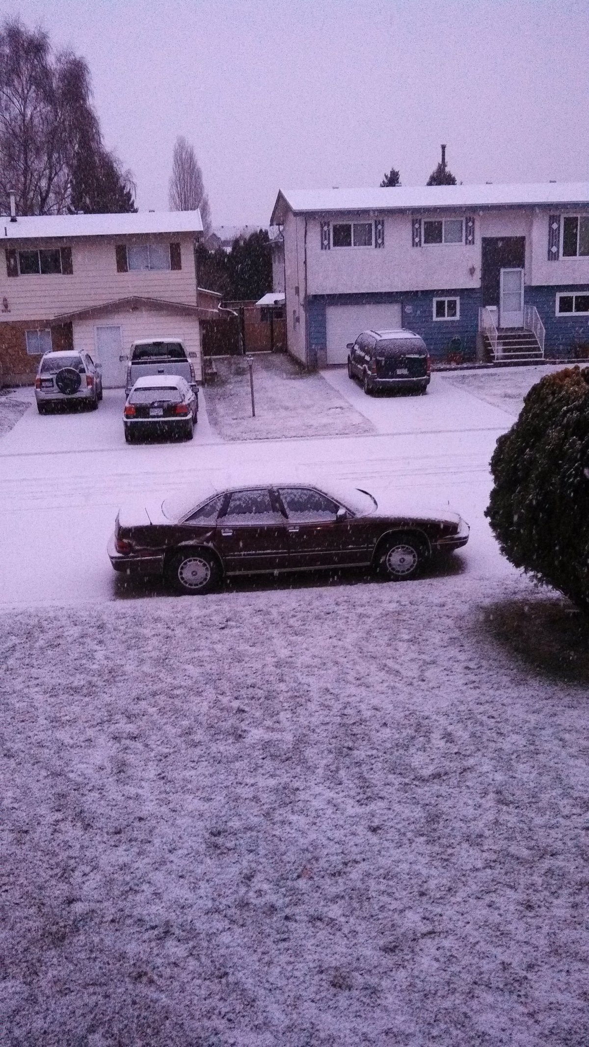 Light snow falling across South Coast - BC | Globalnews.ca